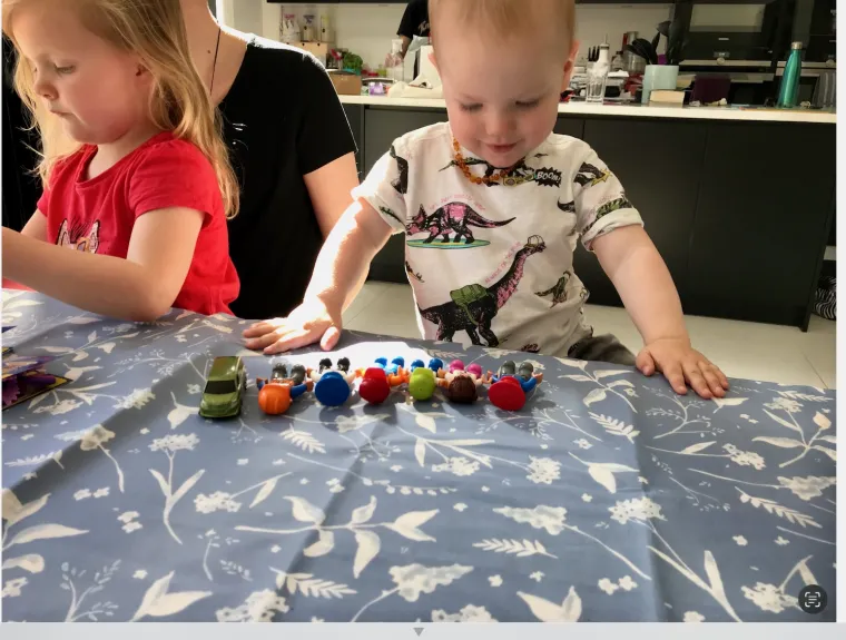 Fitting not Flitting: How young children develop and learn through ...