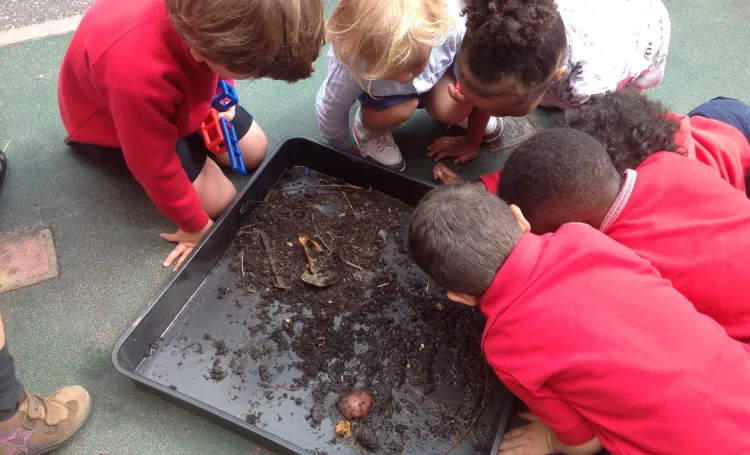 London South Early Years Stronger Practice Hub | Stronger Practice Hubs