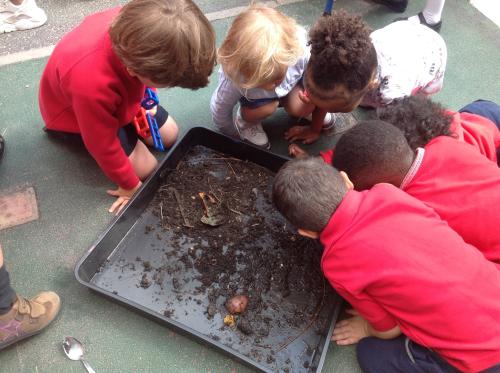 Northern Lights Early Years Stronger Practice Hub North East | Stronger ...